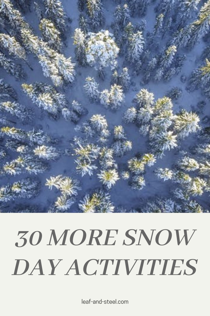 30 Snow Day Activities - Leaf and Steel